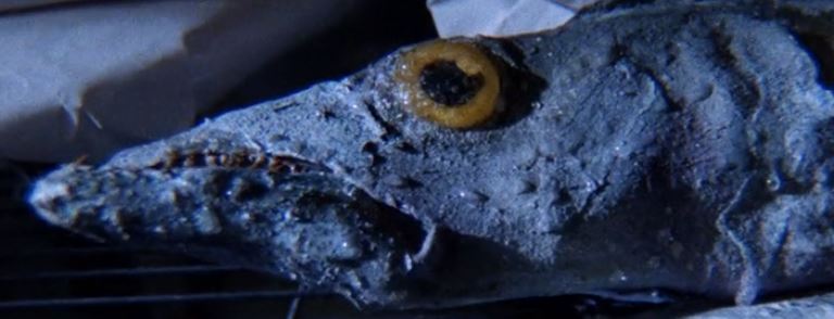Death Spa (1988) – By Baron Craze – The Horror Times